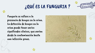 bactenuria, funguria y parasitosis .pptx