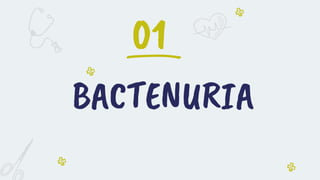 bactenuria, funguria y parasitosis .pptx