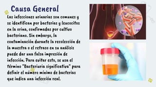 bactenuria, funguria y parasitosis .pptx
