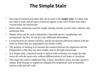 Bacteraial staianing.pptx