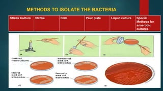 Bacterail culture methods by prajith .v | PPTX | Biological Sciences ...