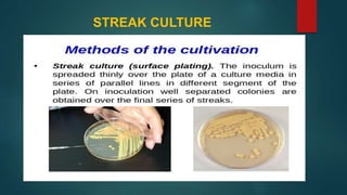 Bacterail culture methods by prajith .v | PPT