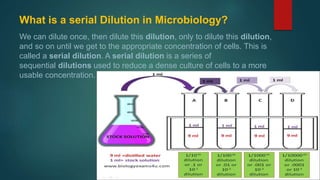 Bacterail culture methods by prajith .v | PPT
