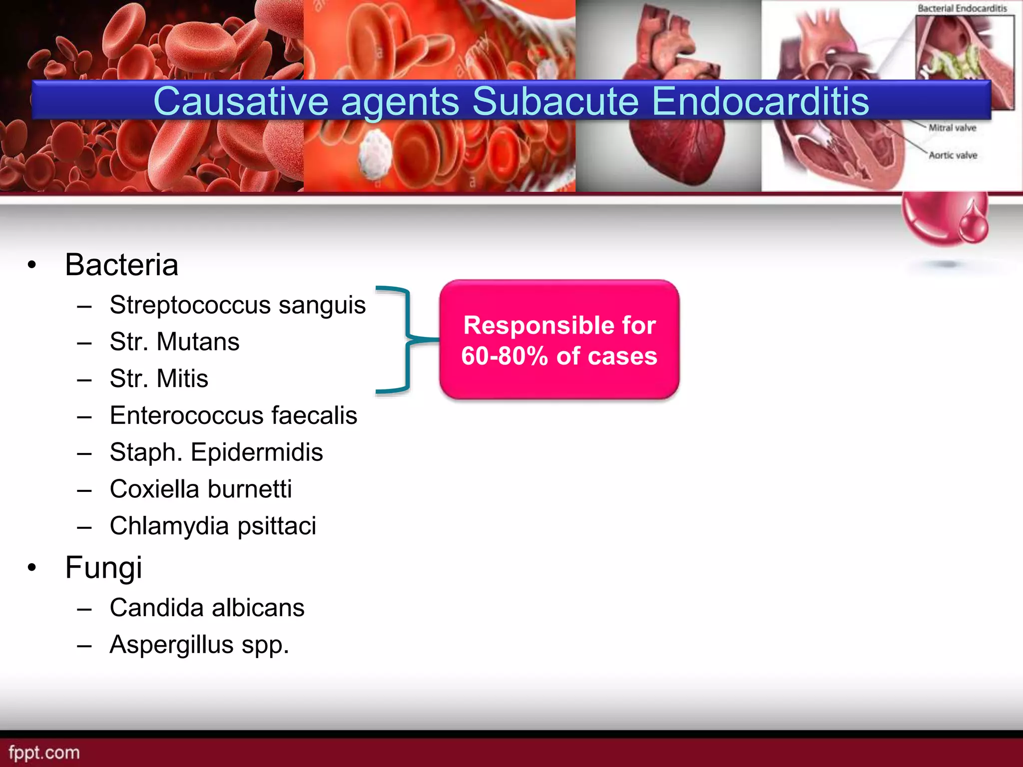 Bacteremia, septicaemia and endocarditis | PPT