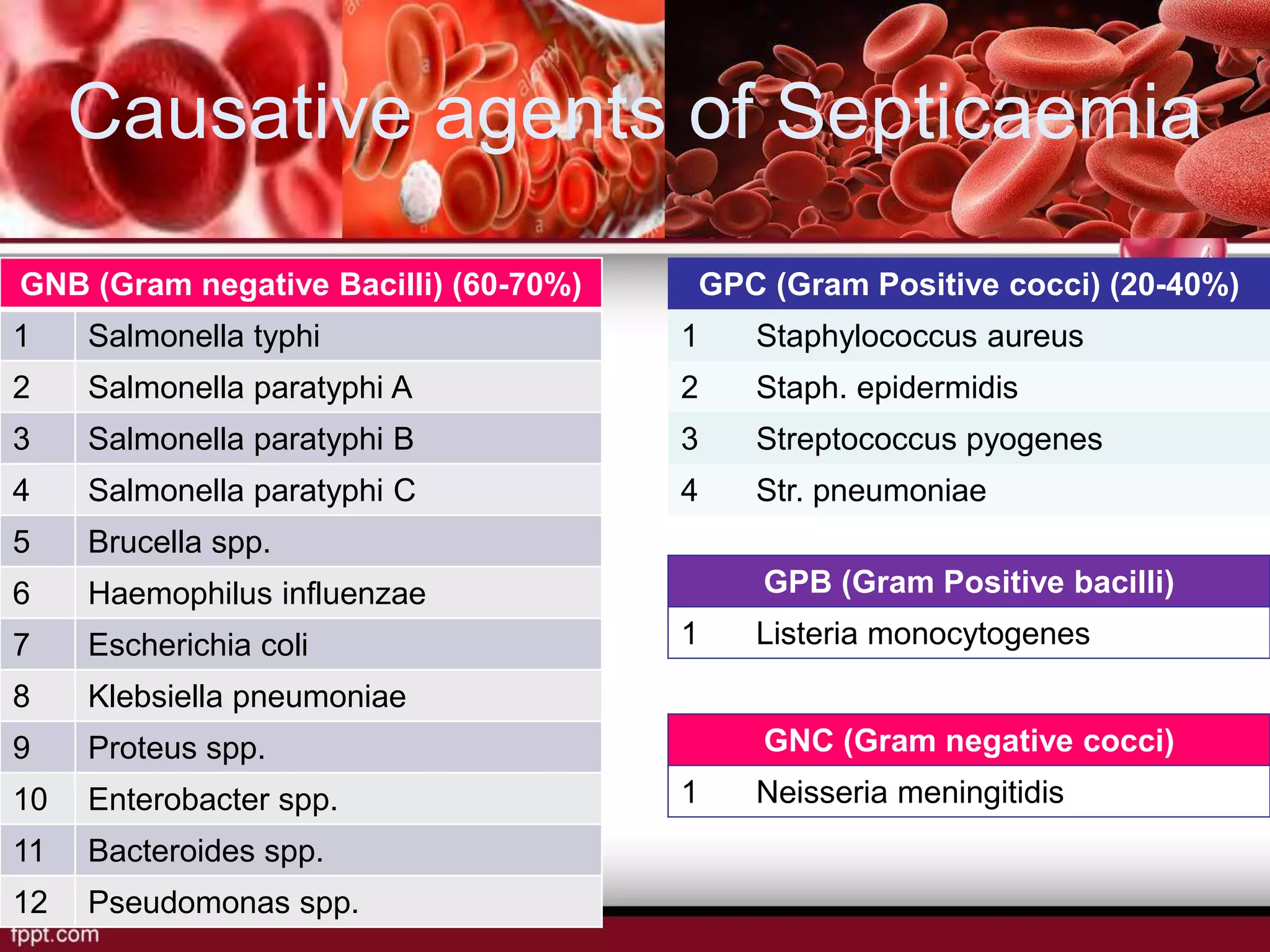 Bacteremia, septicaemia and endocarditis | PPT