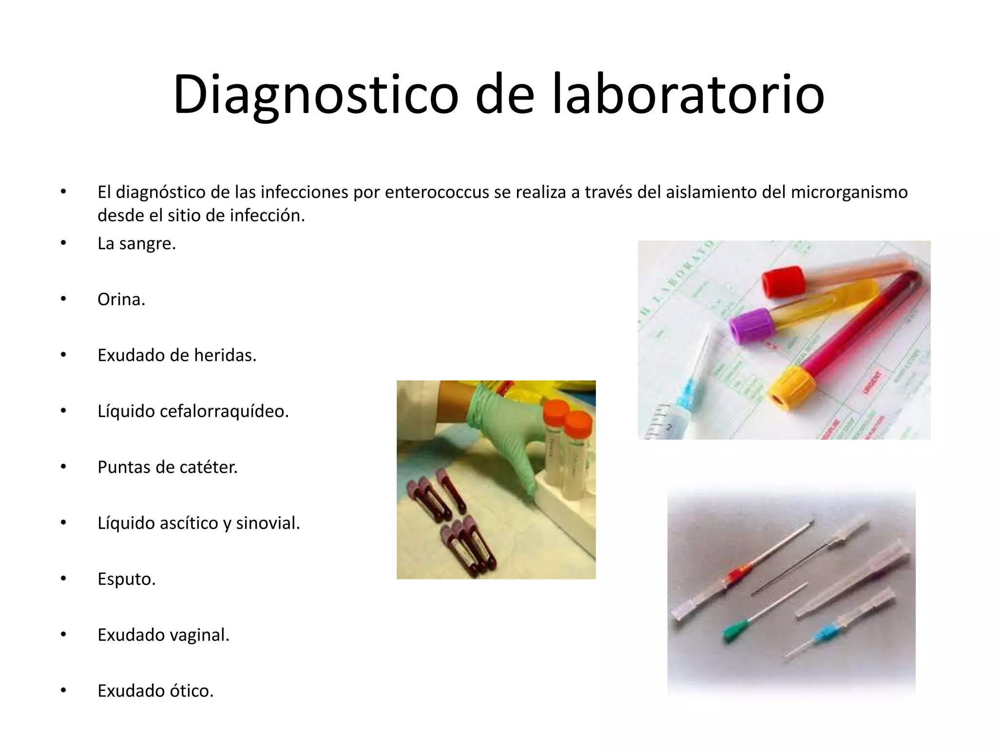 enterococcus | PPTX