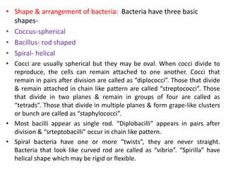 Bacteria---Introduction to bacteria.pptx