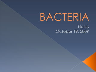 Bacteria | PPT