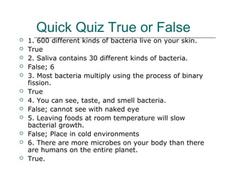 Bacteria 1 | PPT | Chemistry | Science