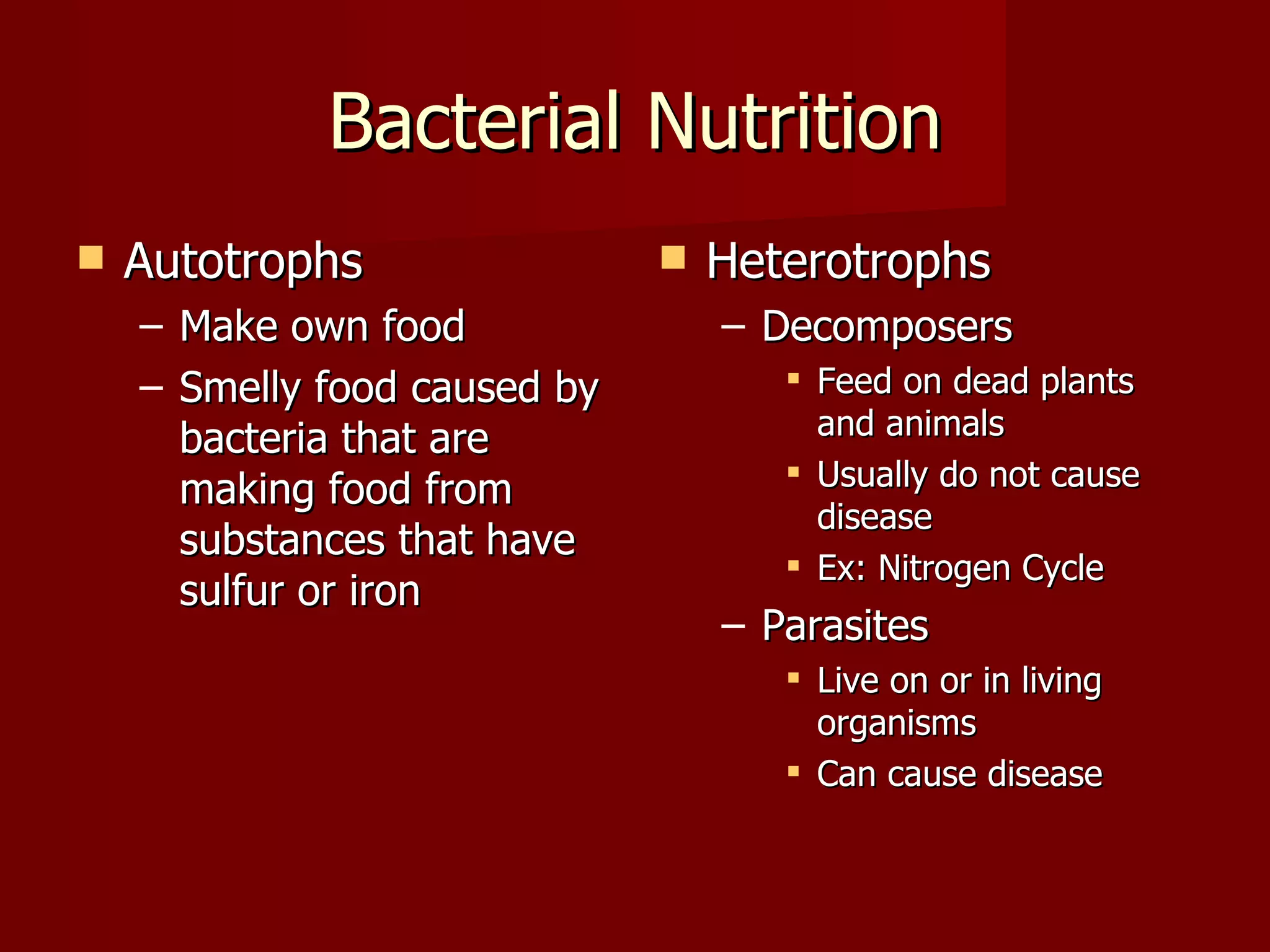 Bacteria | PPT