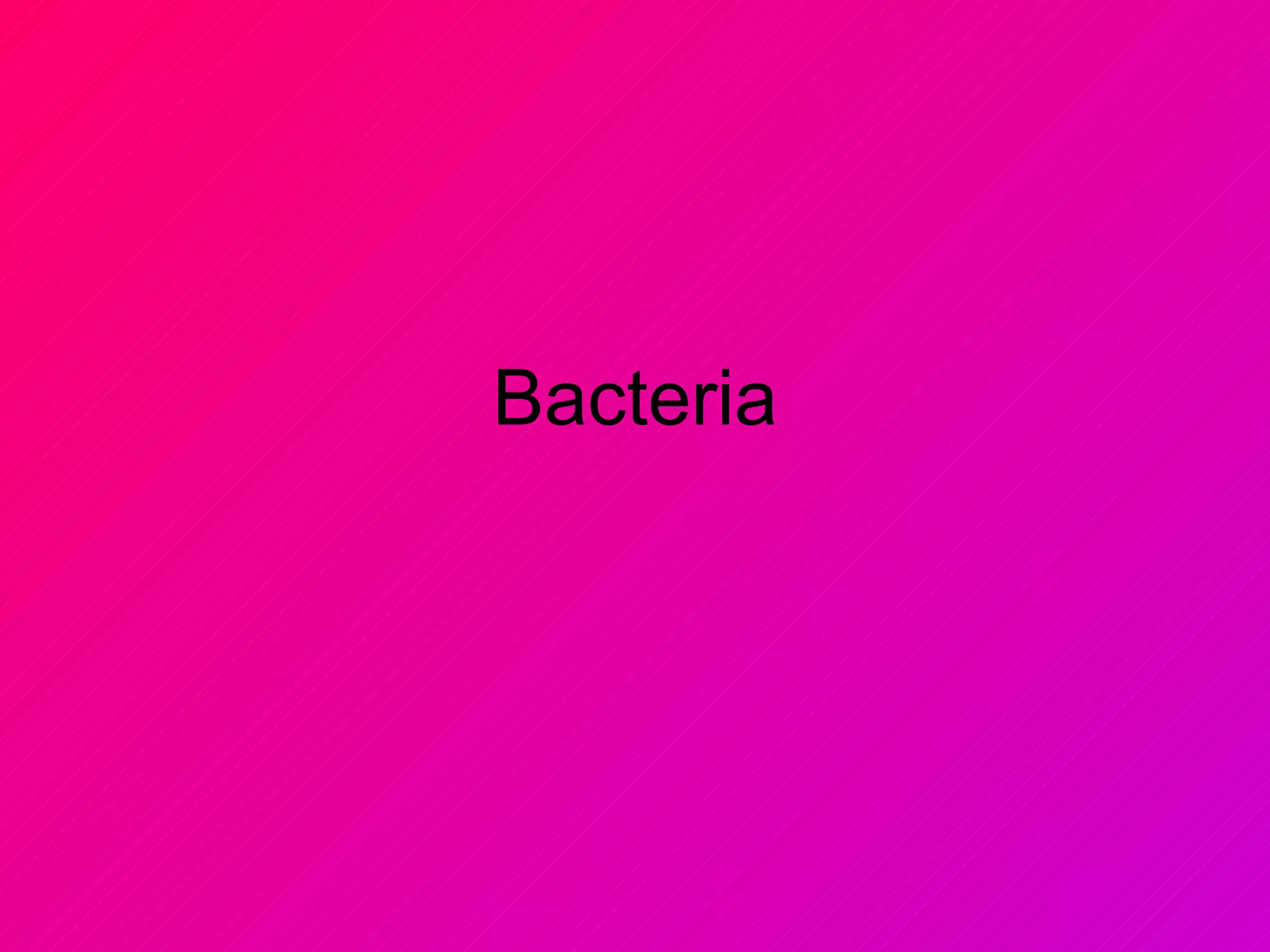 Bacteria | PPT