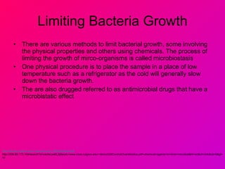 Bacteria | PPT