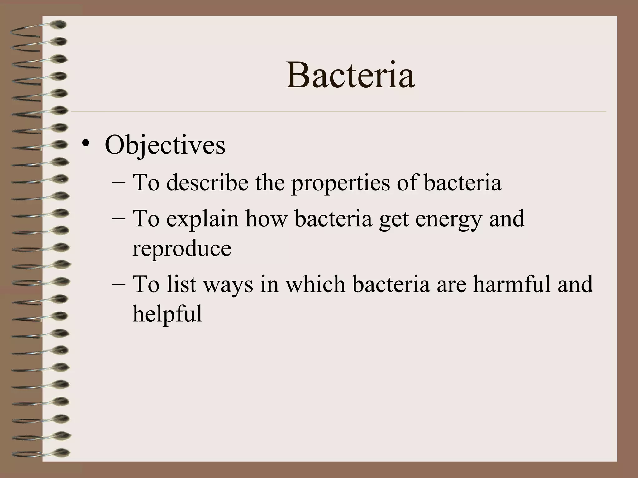Bacteria | PPT