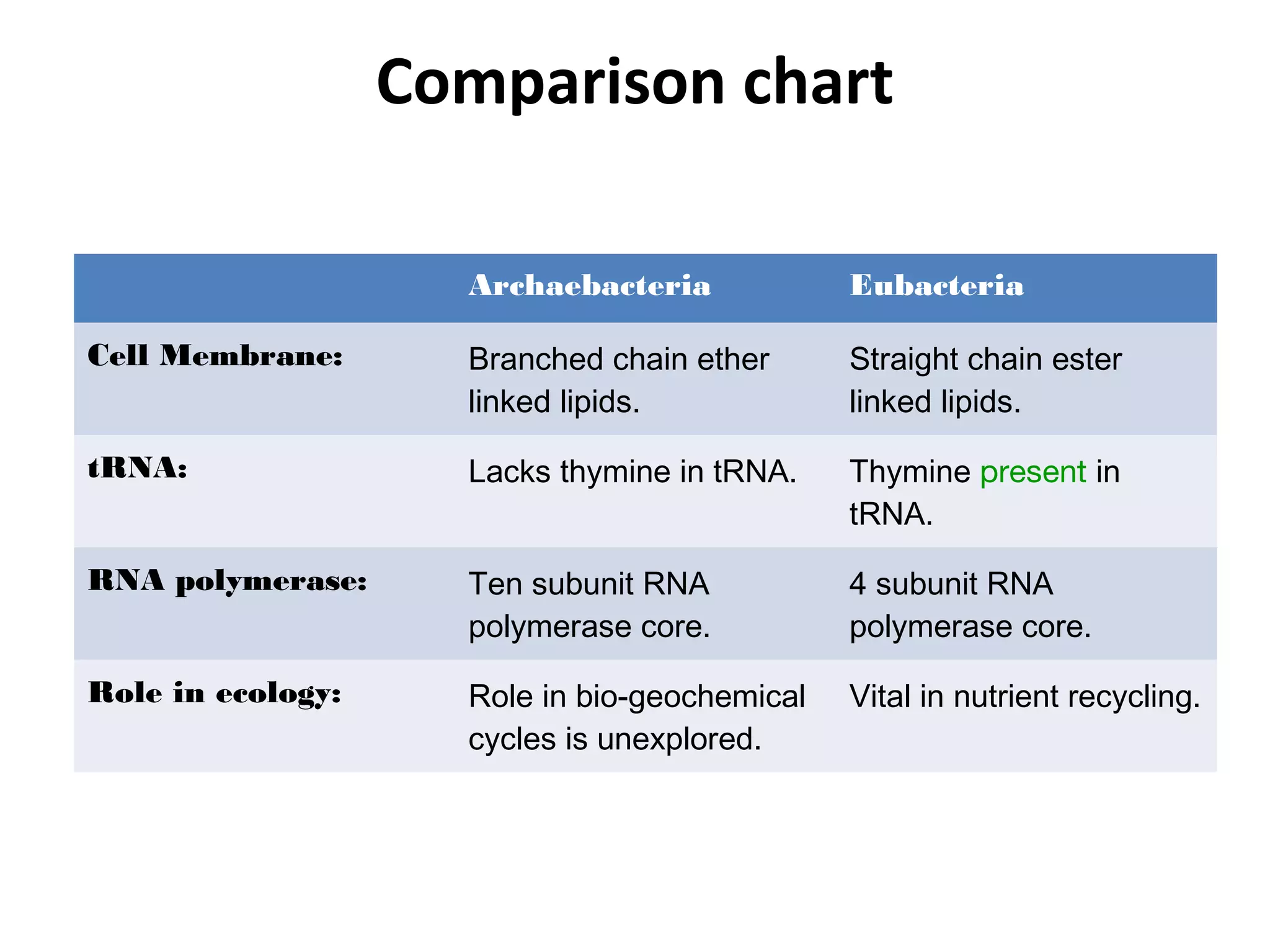 Bacteria | PPT