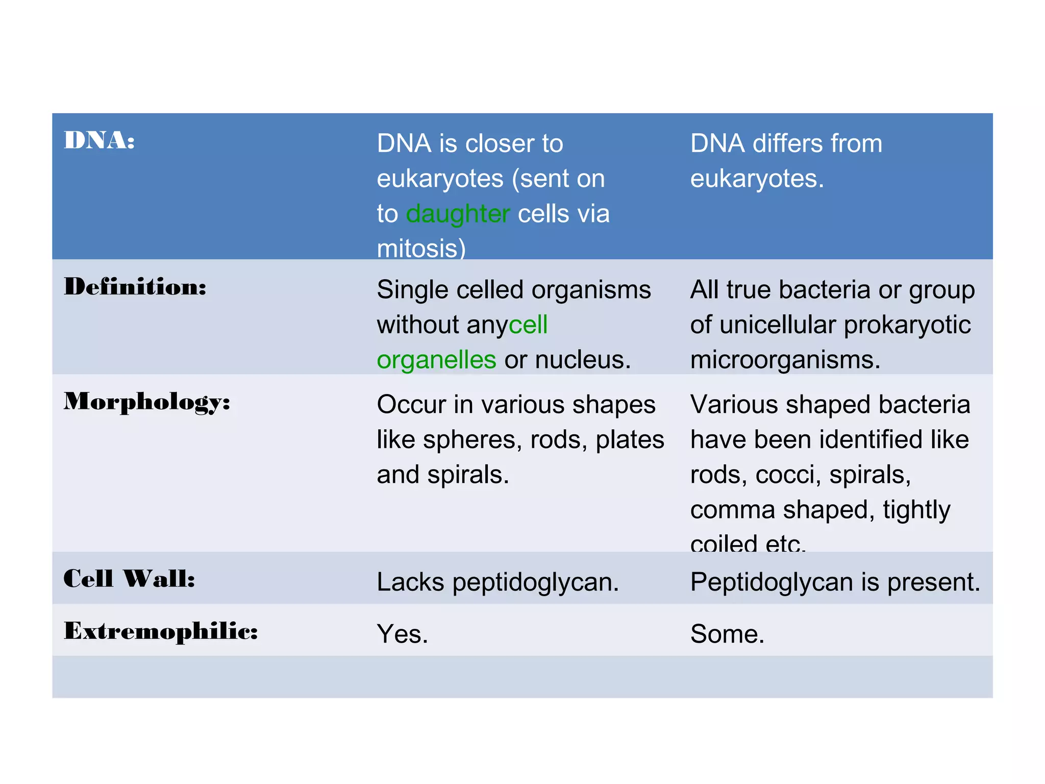 Bacteria | PPT