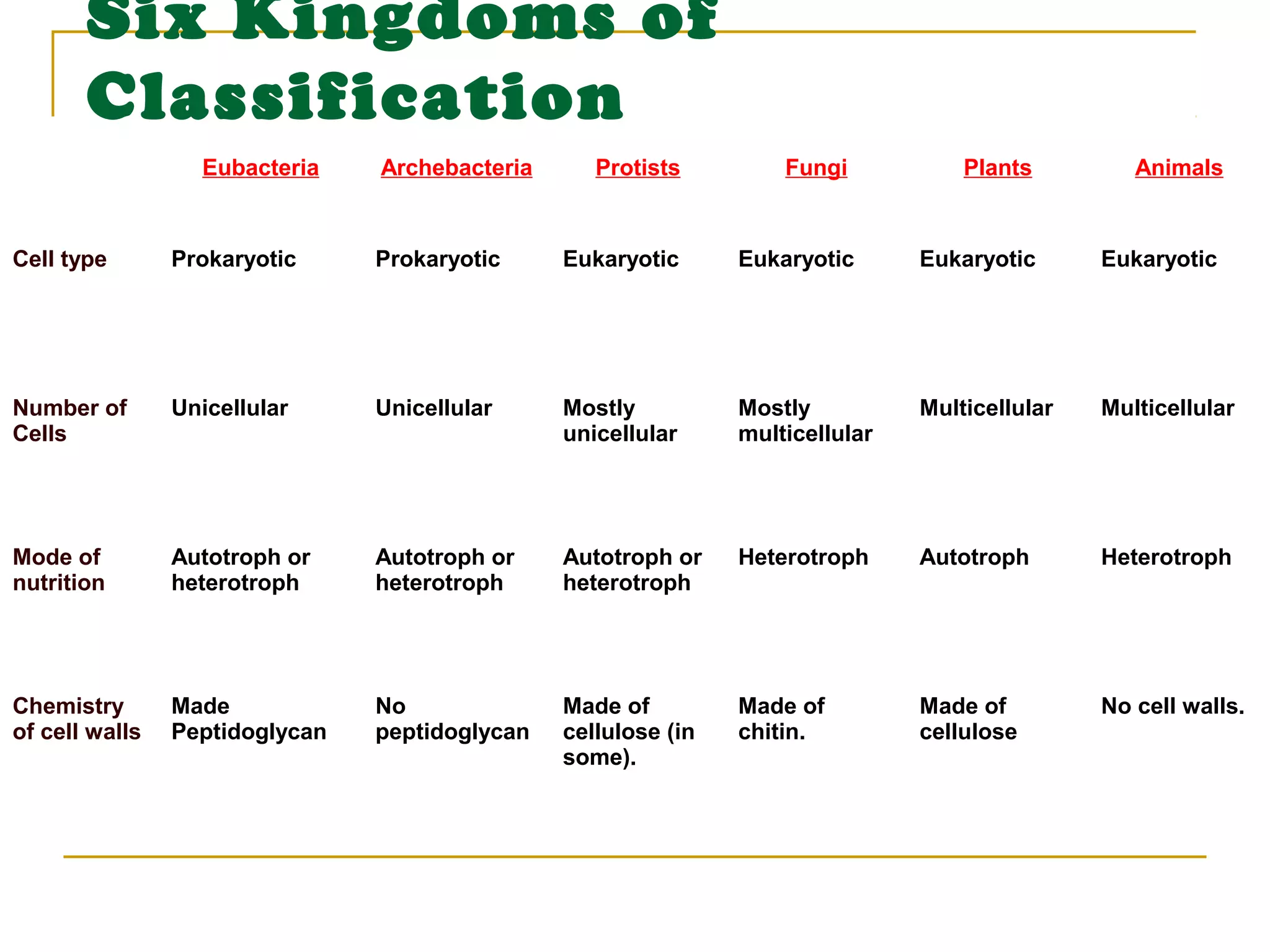 Bacteria | PPT