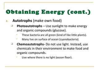 Bacteria | PPT