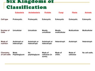 Bacteria | PPT