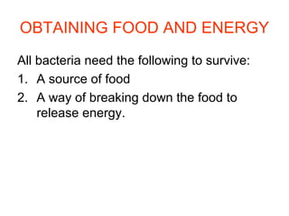 Bacteria | PPT