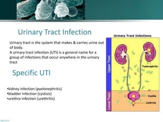Bacterial Diseases
