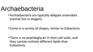 Bacteria | PPT