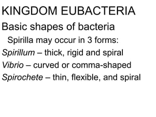 Bacteria | PPTX