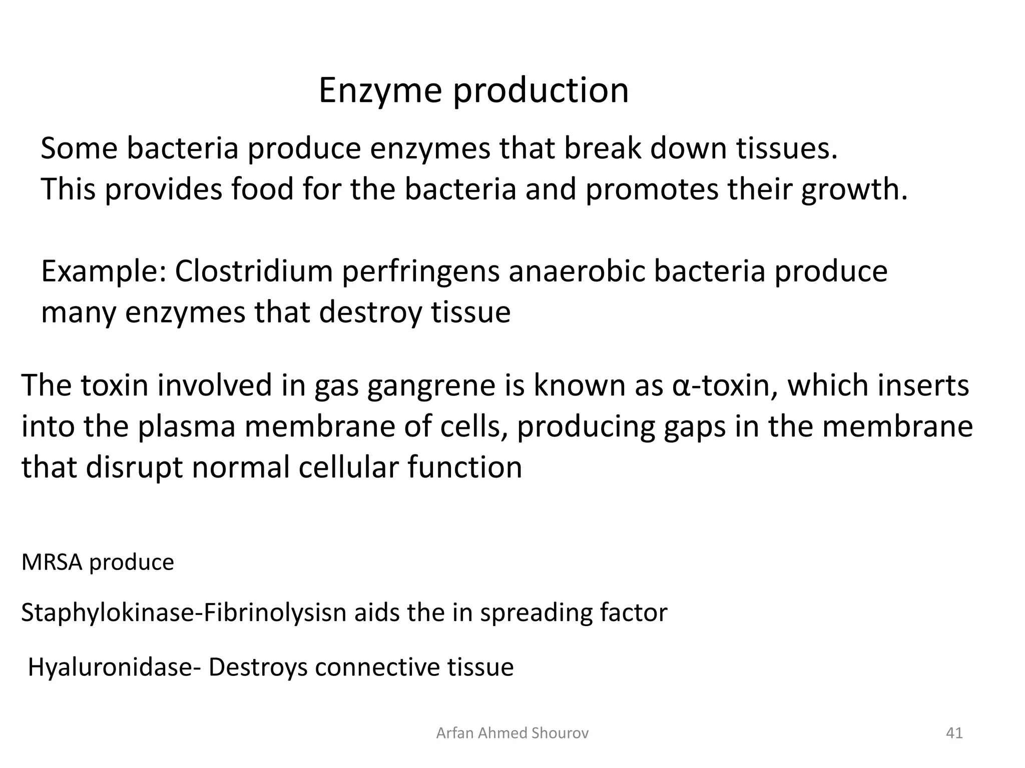 Bacteria basics | PPTX | Chemistry | Science