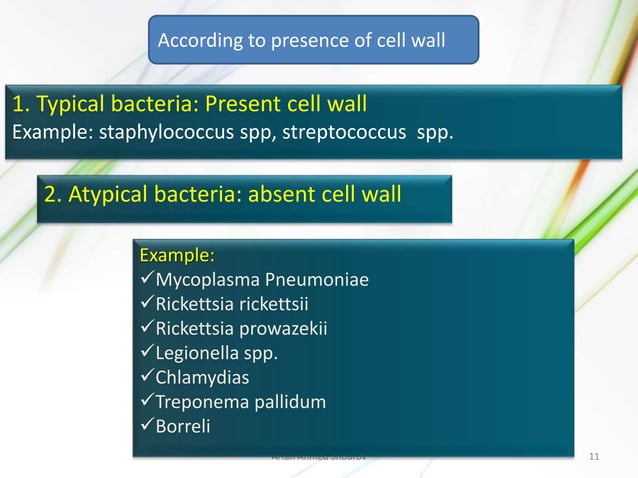 Bacteria basics | PPTX | Chemistry | Science