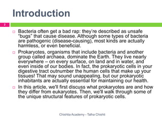 Bacteria | PPT