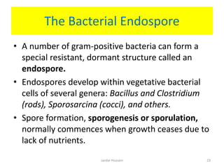 Bacteria | PPT