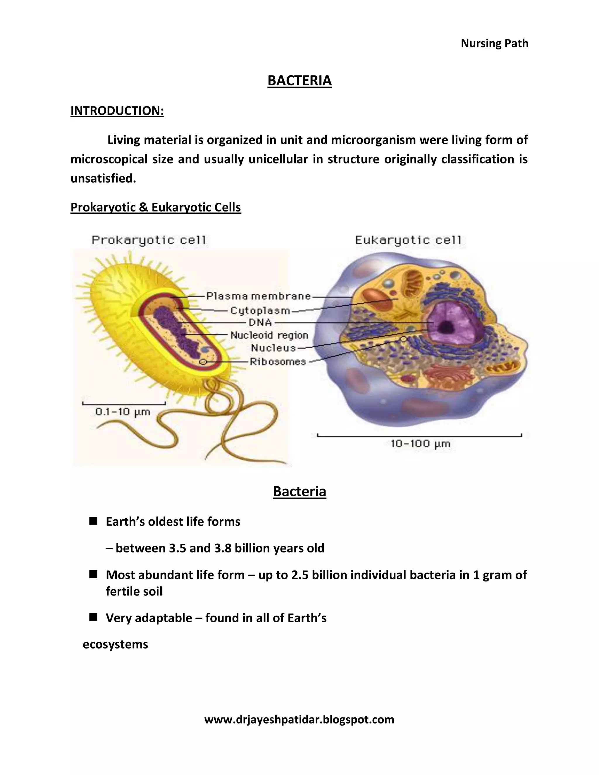 Bacteria | PDF