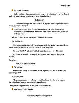 Bacteria | PDF | Biological Sciences | Science