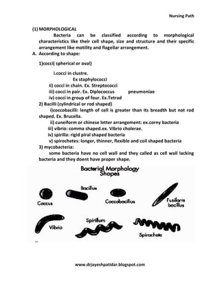Shapes Of Bacteria Worksheet