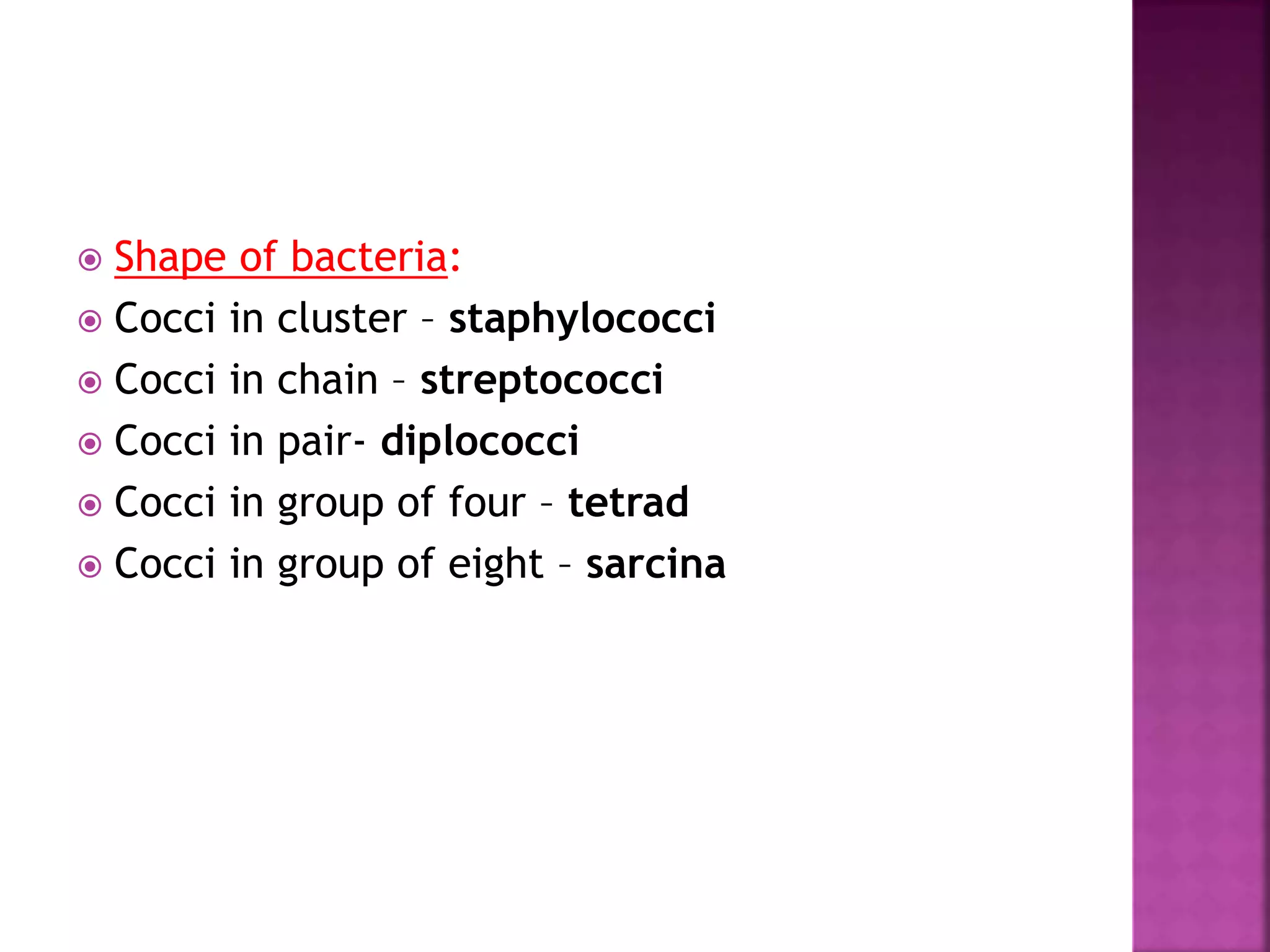 Bacterial morphology | PPTX