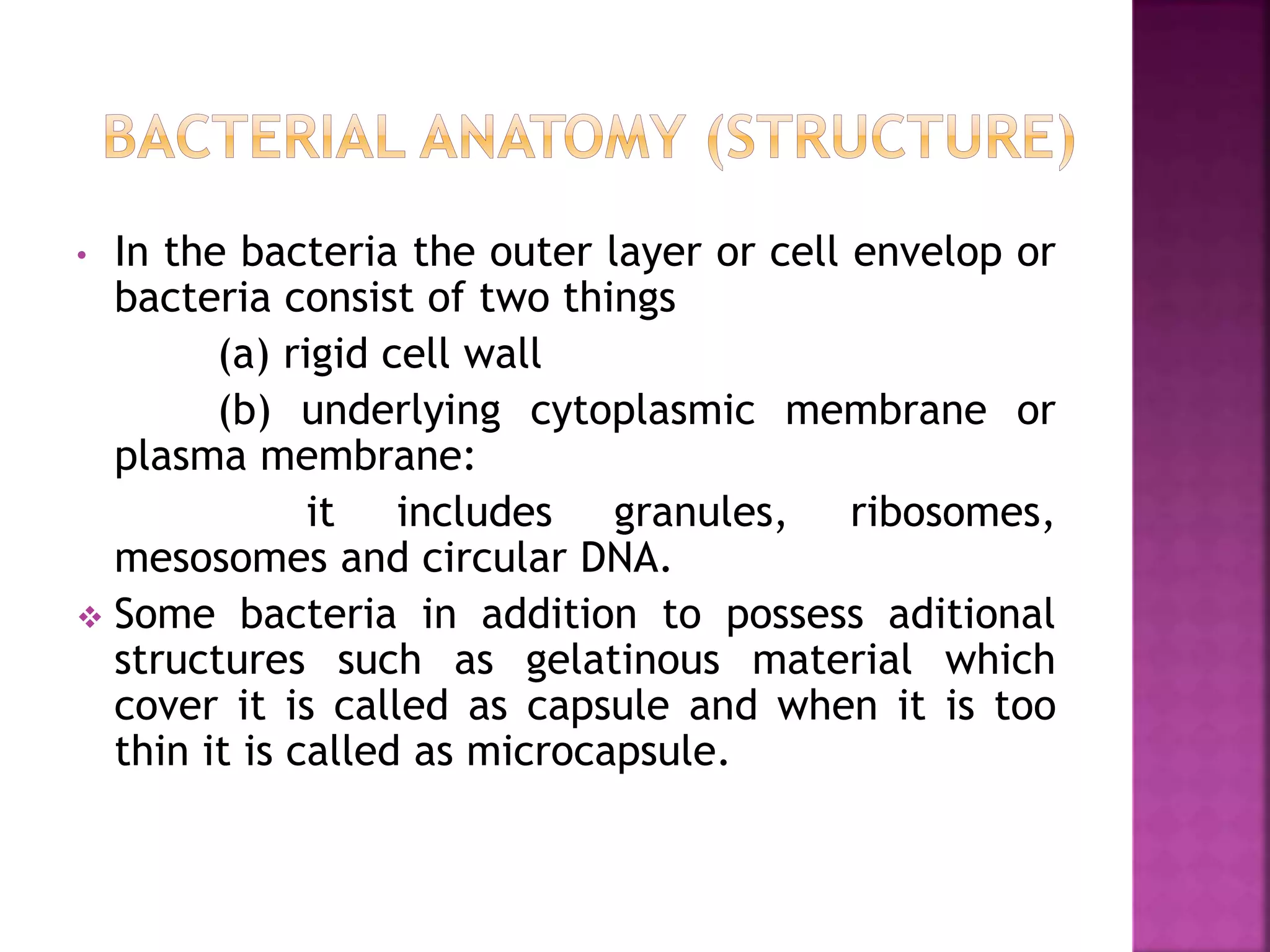 Bacterial morphology | PPTX