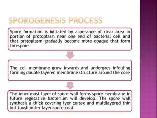 Bacterial morphology | PPTX