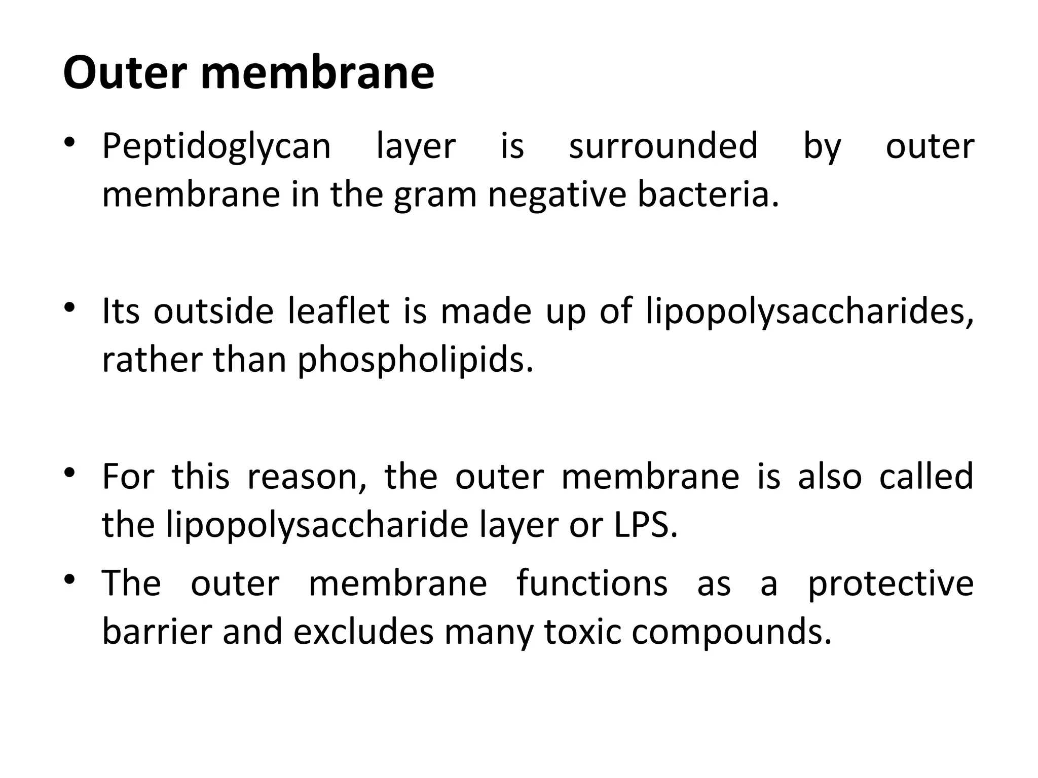 Bacteria | PPT