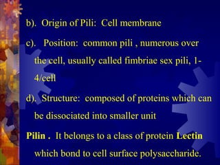 Bacteria | PPT