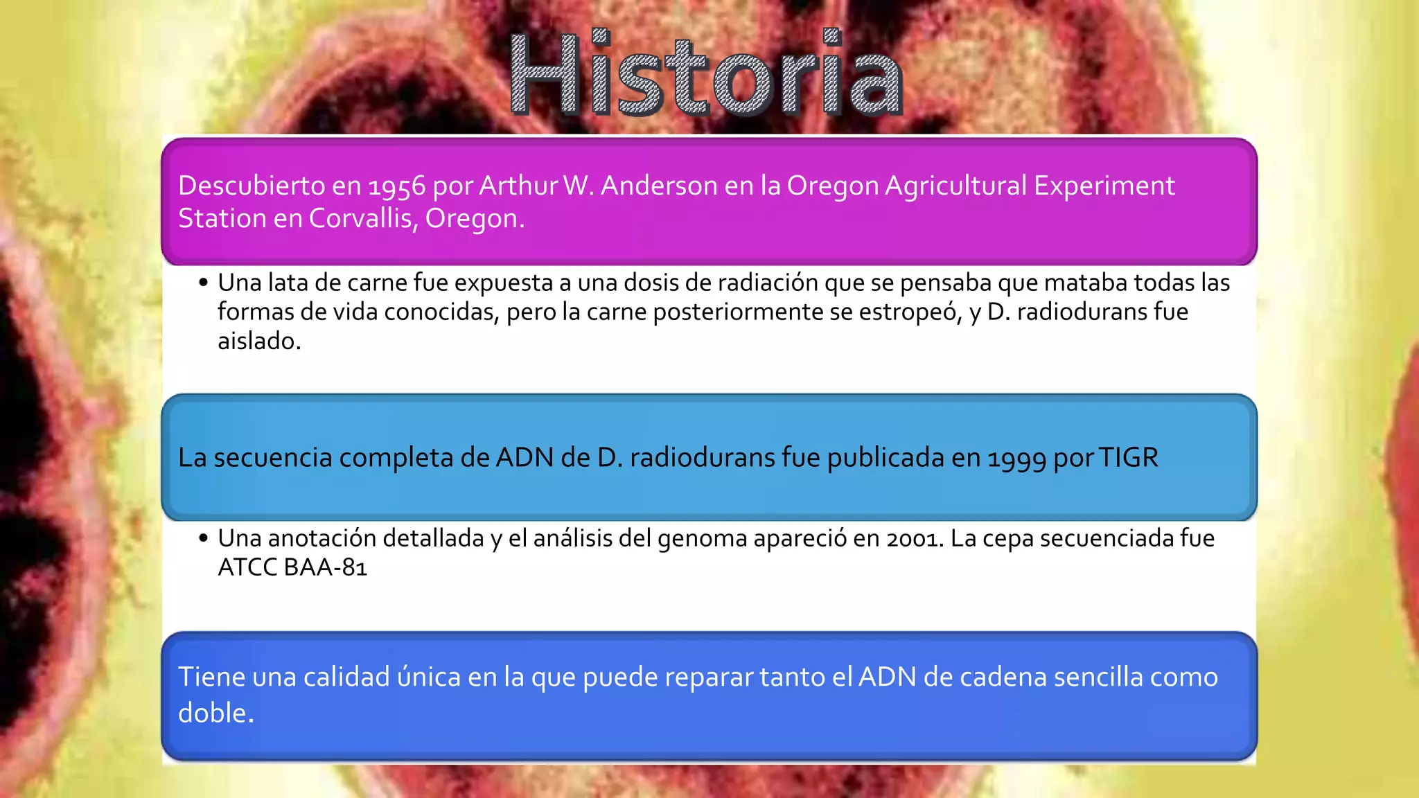 Bacteria Deinococcus Radiodurans | PPTX | Genetics | Science