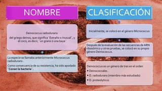 Bacteria Deinococcus Radiodurans | PPTX