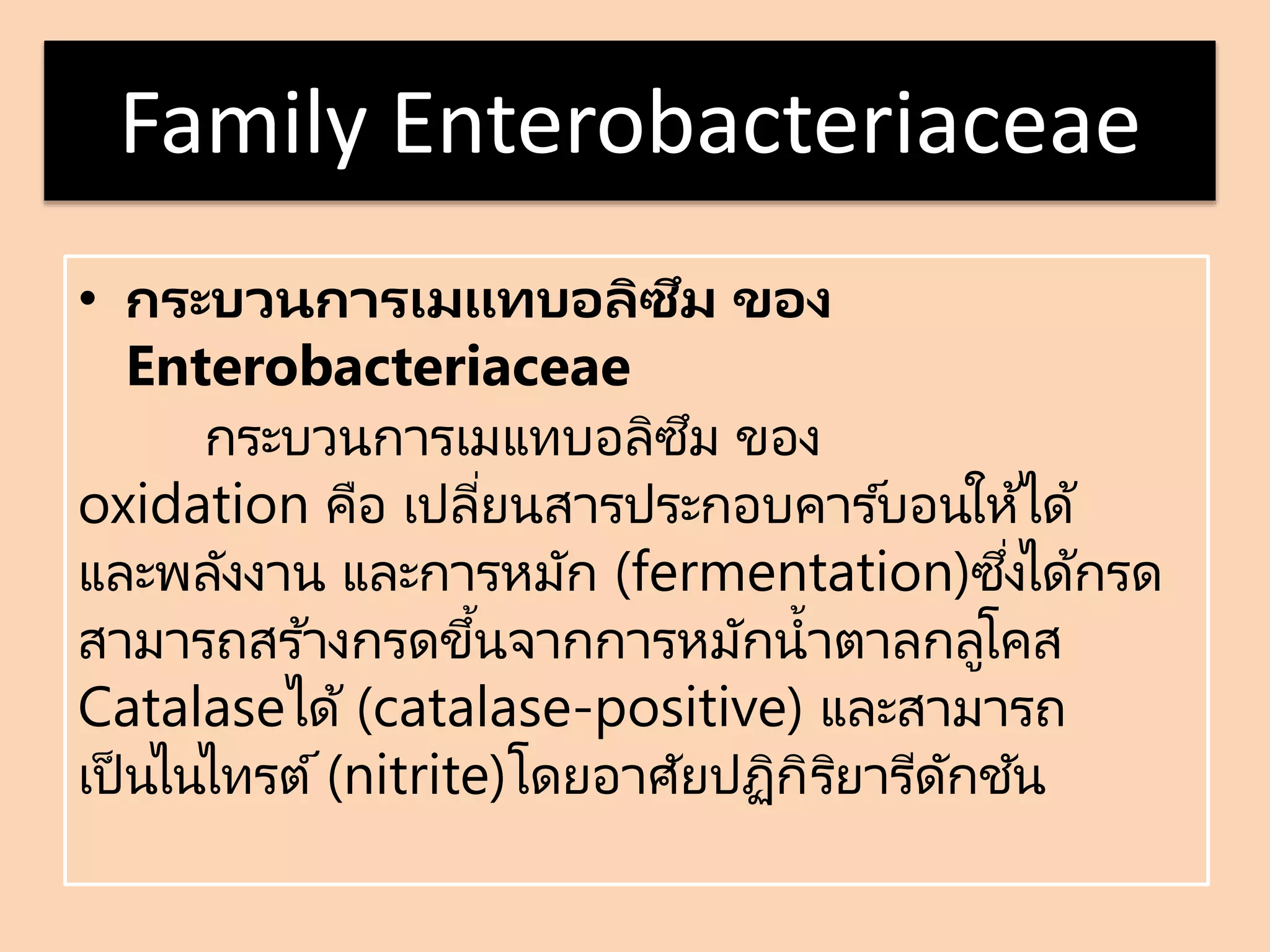 Bacteria Gram-Negative Bacilli Oxidase - | PPT