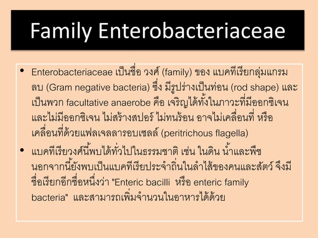Bacteria Gram-Negative Bacilli Oxidase - | PPT