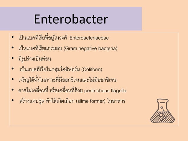 Bacteria Gram-Negative Bacilli Oxidase - | PPT