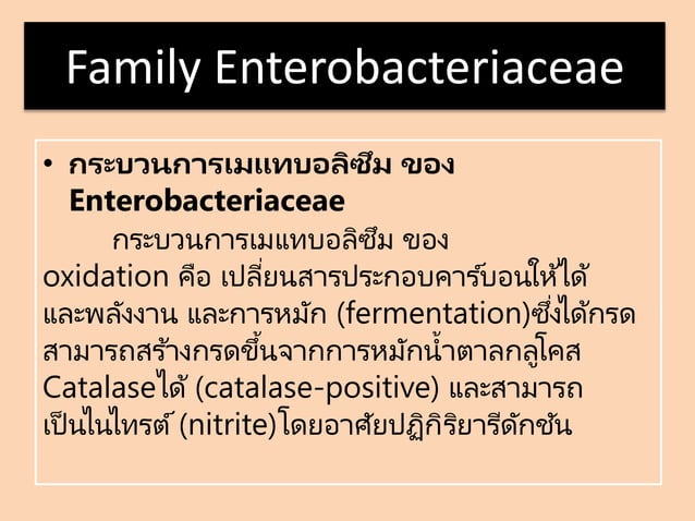 Bacteria Gram-Negative Bacilli Oxidase - | PPT