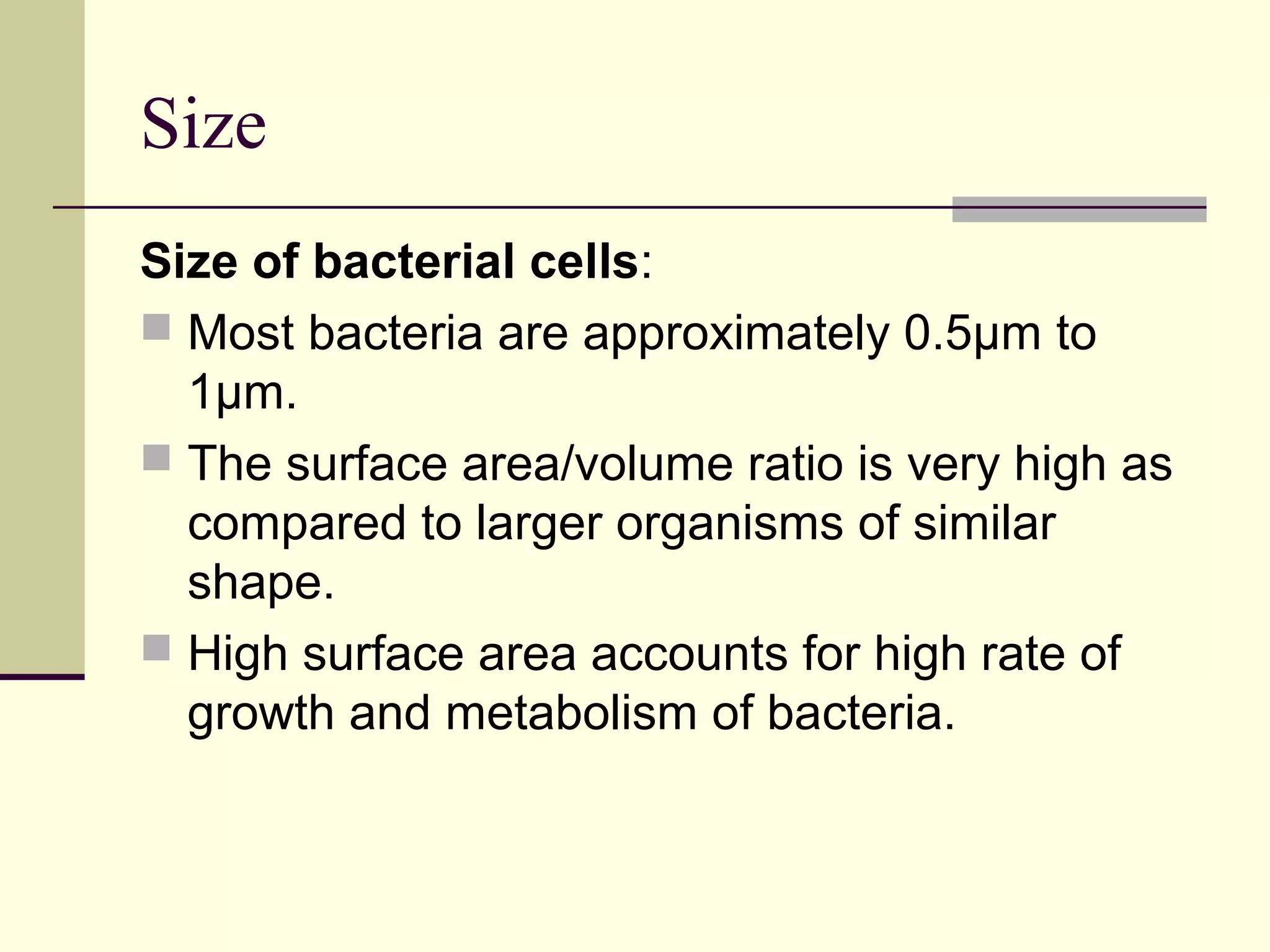 Morphology and Structure of Bacteria | PPT