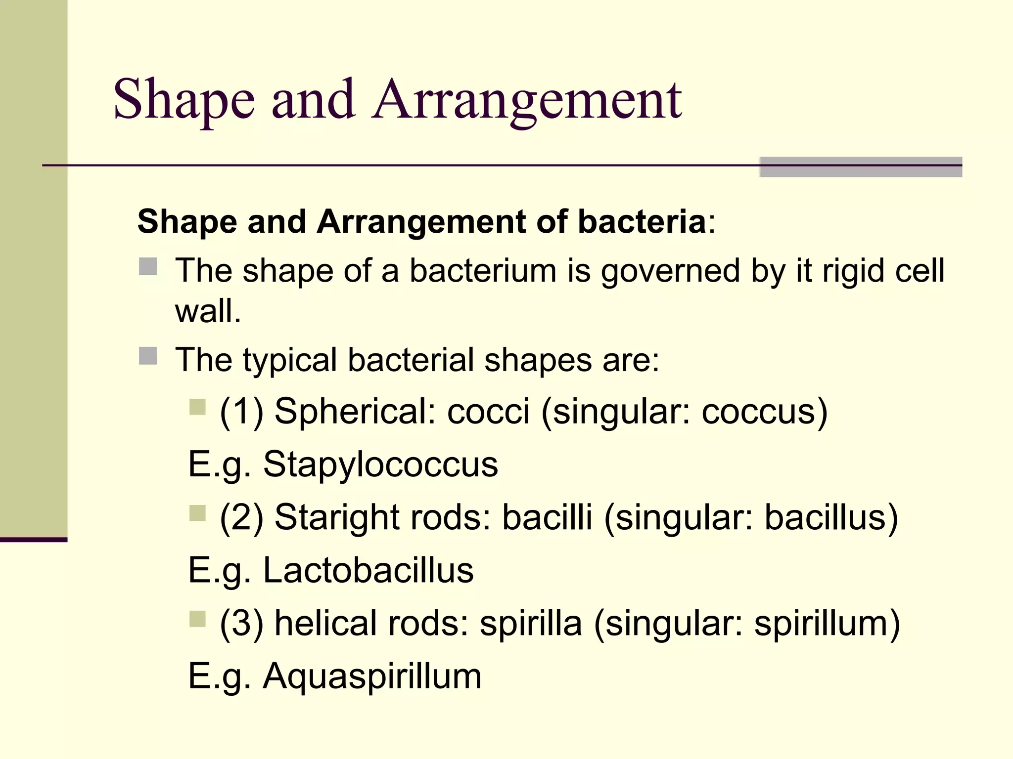 Morphology and Structure of Bacteria | PPT