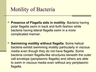 Morphology and Structure of Bacteria | PPT