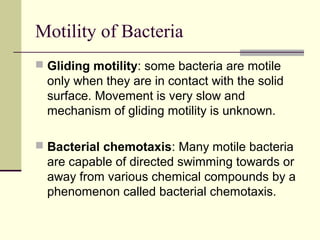Morphology and Structure of Bacteria | PPT
