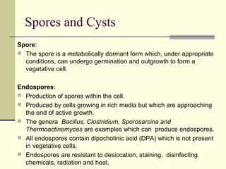 Morphology and Structure of Bacteria | PPT