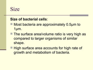 Morphology and Structure of Bacteria | PPT
